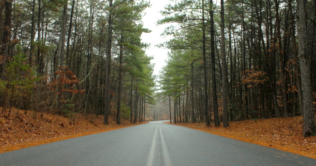 Empowering Futures: EDSI's Pre-ETS Program Transforms Lives in… - EDSI